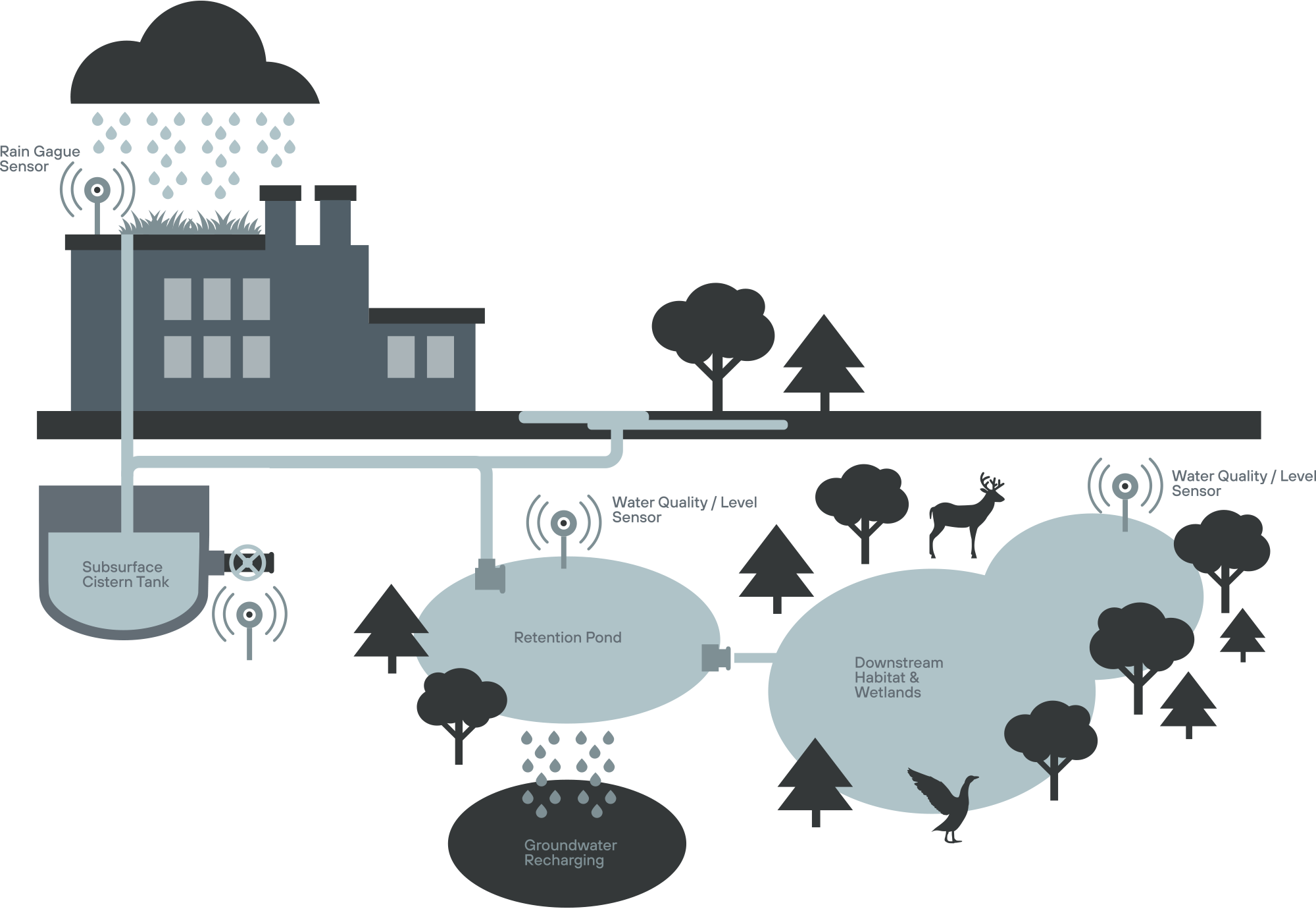 Impact – Brightstorm